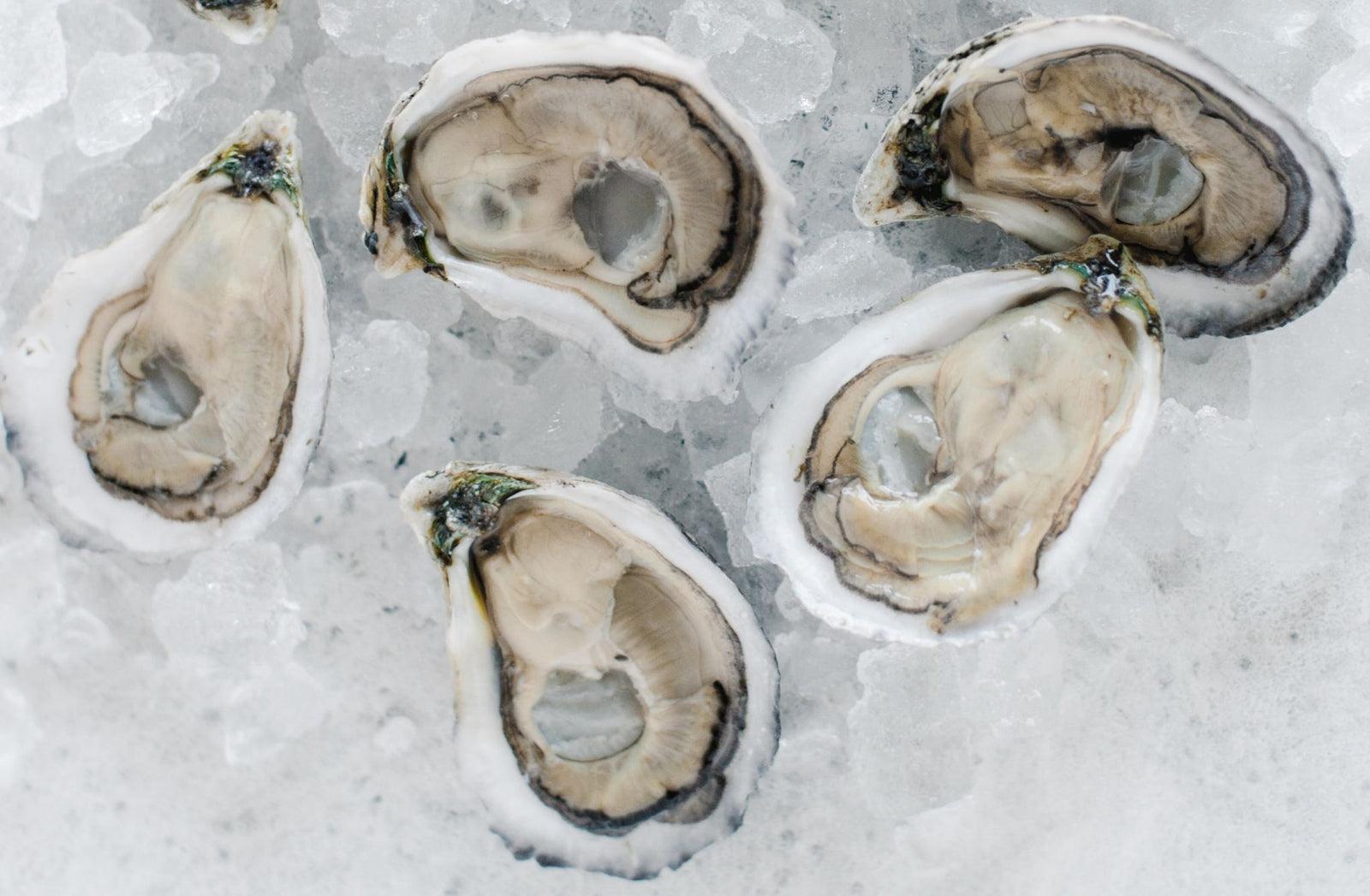 Murder Point Oysters | Premium Tide-Tumbled Oysters from Alabama