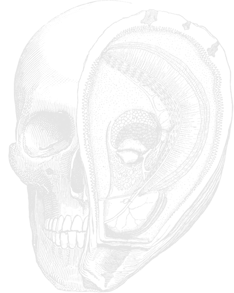 Murder Point Oysters | Premium Tide-Tumbled Oysters from Alabama